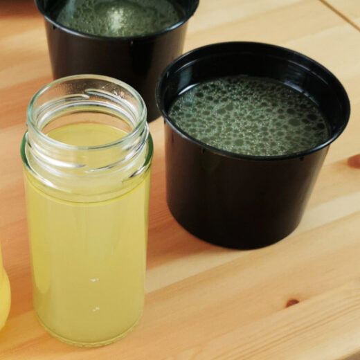 Chinese chicken stock - How to make it (best for Asian dishes)