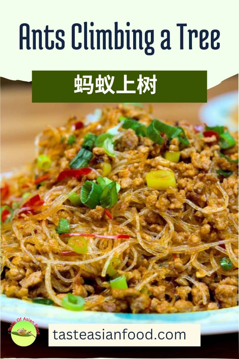 Ants Climbing a Tree- Glass Noodles & Minced Pork Stir-fry
